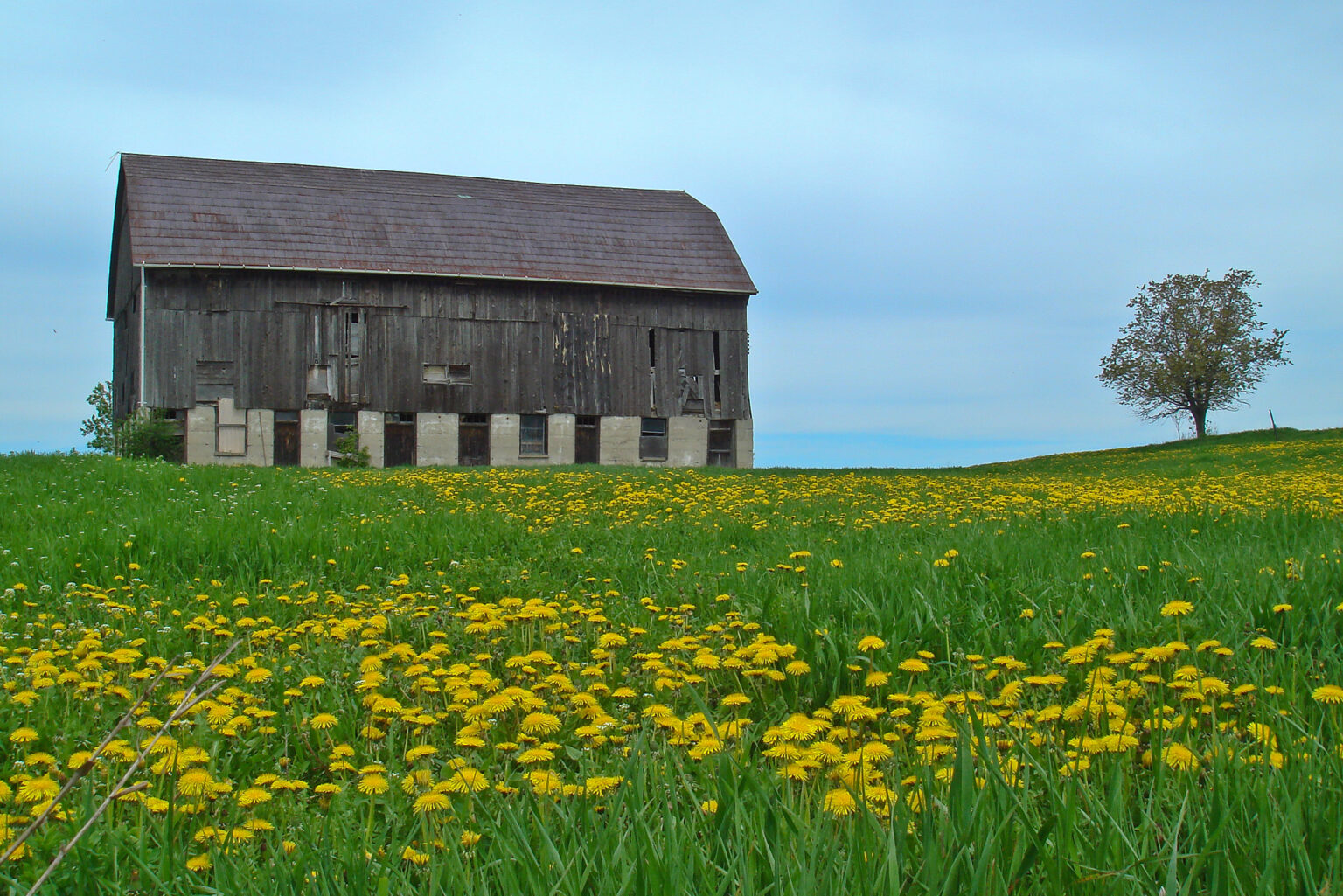 What's It Like to Live in Bolton, Ontario? - Frank Leo & Associates