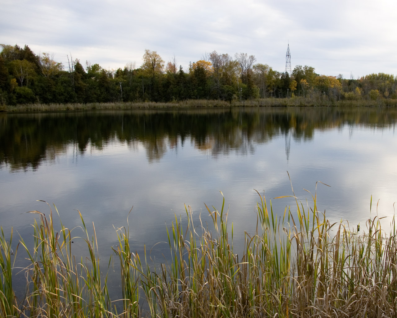 What's It Like to Live in Oak Ridges, Ontario? - Frank Leo & Associates