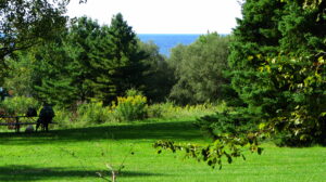 Discovering the Courtice Ontario Community - Frank Leo