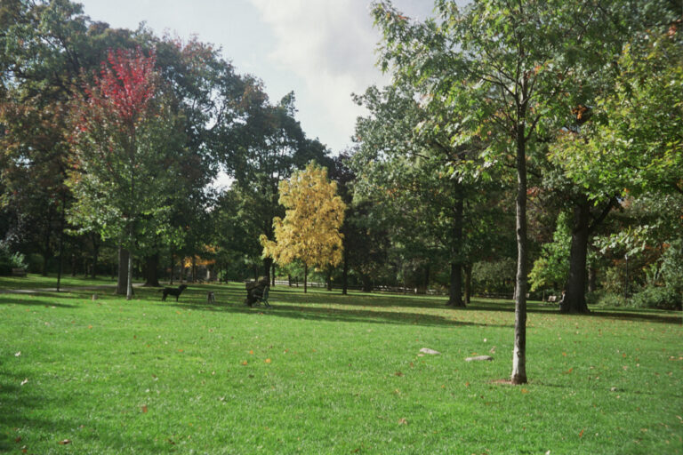 A Complete Guide To The Rosedale Toronto Neighborhood