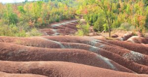 Discovering the Charming Town of Caledon, Ontario - Frank Leo